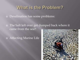 Desalination!! | PPTX