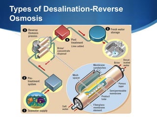 Desalination | PPTX