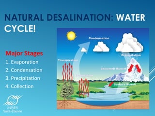 Desalination | PPT