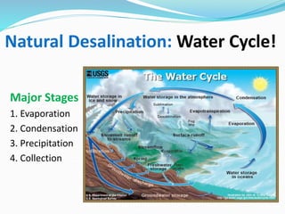 desalination and desalting water treatment.ppt