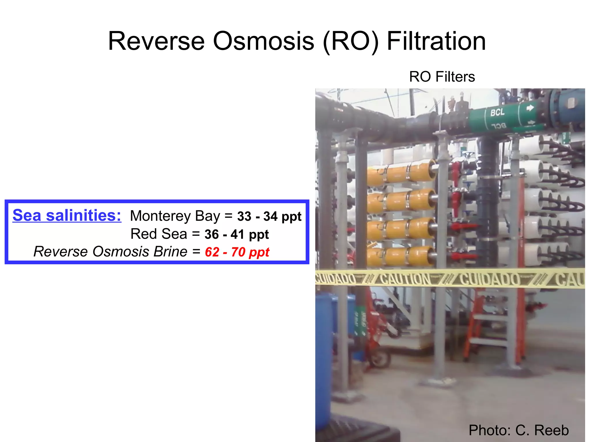 Desalination of the Sea Around Us, Part I | PPT