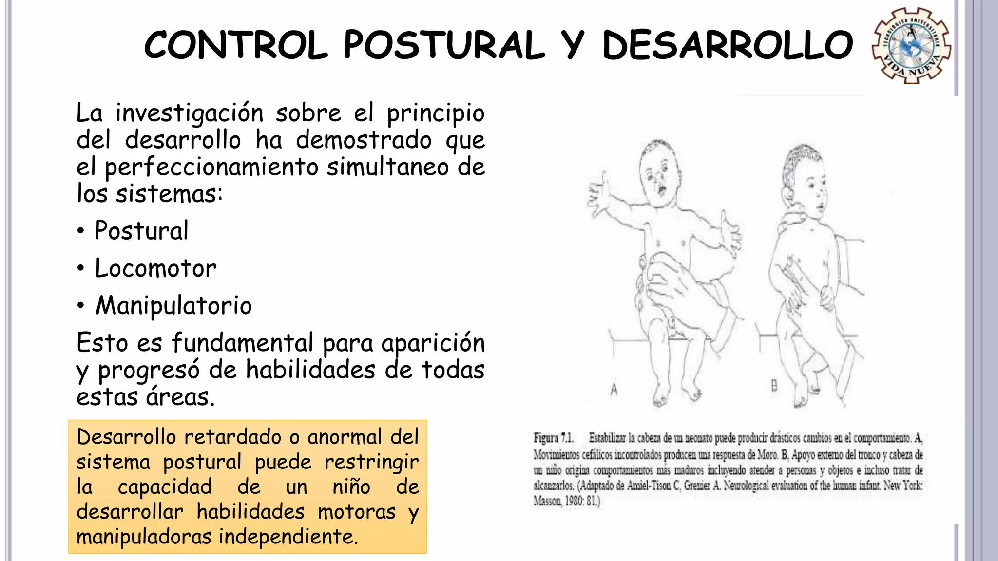 desarrollo-del-control-postural-normal1.pptx