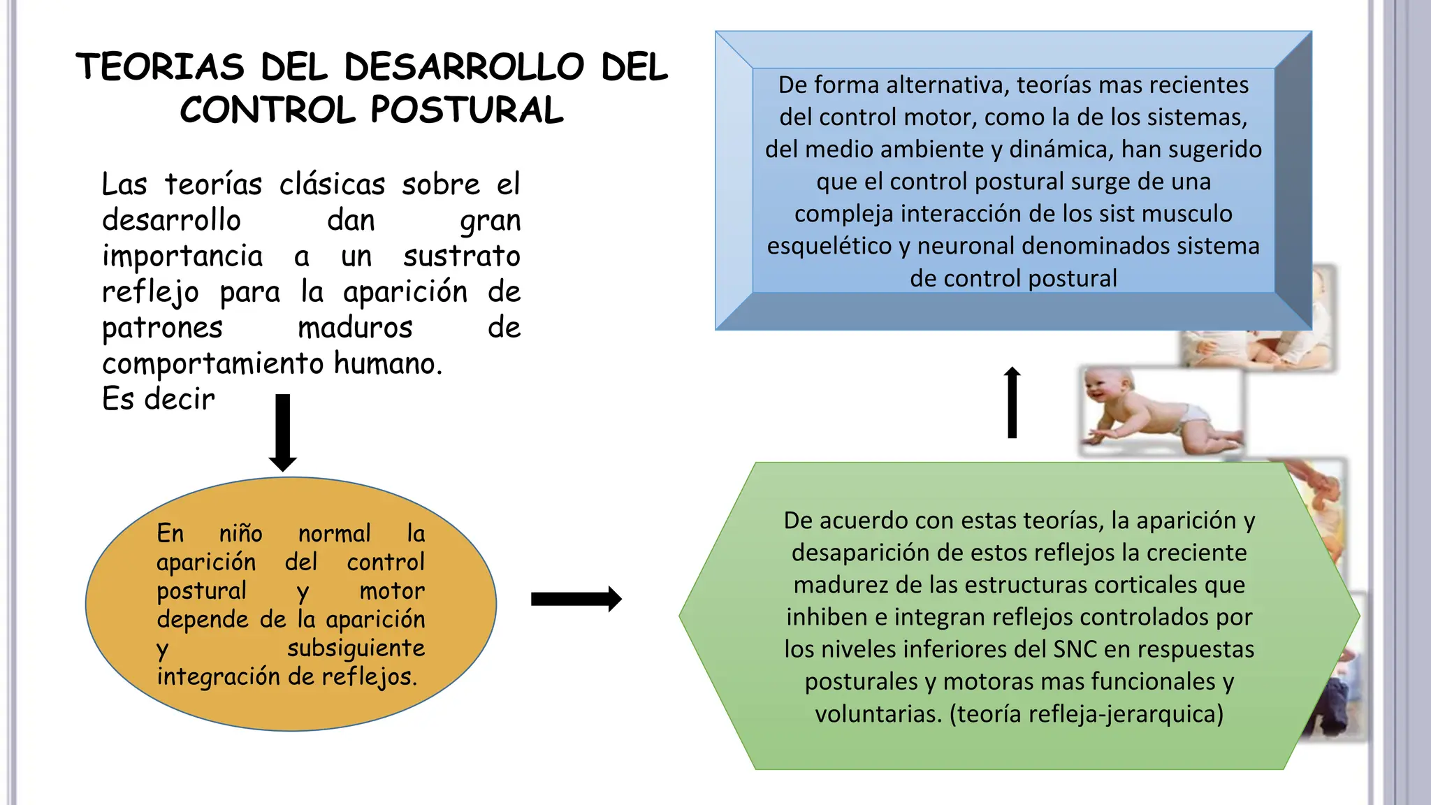 desarrollo-del-control-postural-normal1 (1).pptx