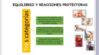 desarrollo-del-control-postural-normal1 (1).pptx