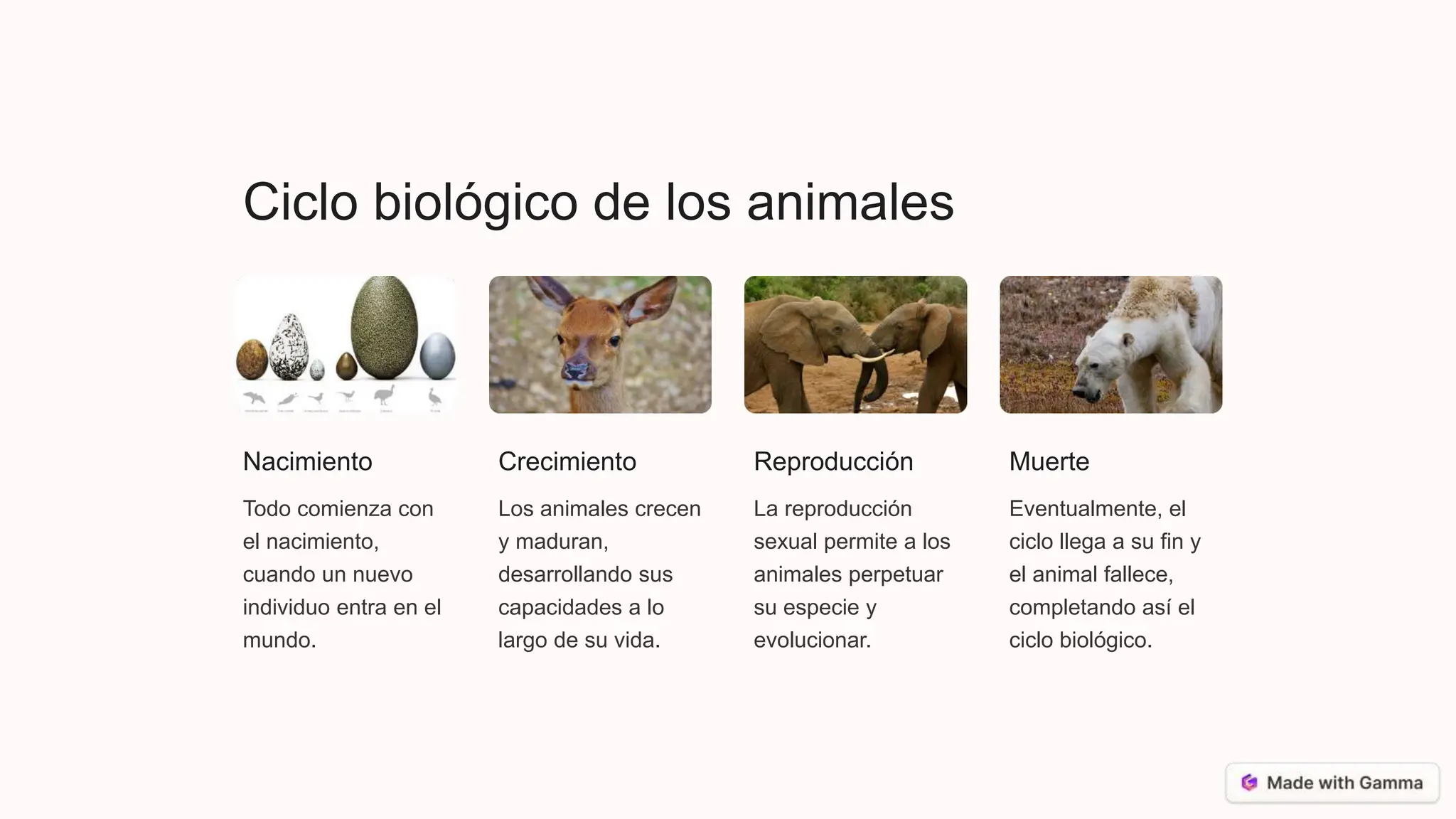 Desarrollo embrionario animal y ciclo biológico | PPTX