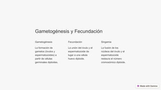 Desarrollo-Embrionario-y-Diferenciacion-Celular.pptx