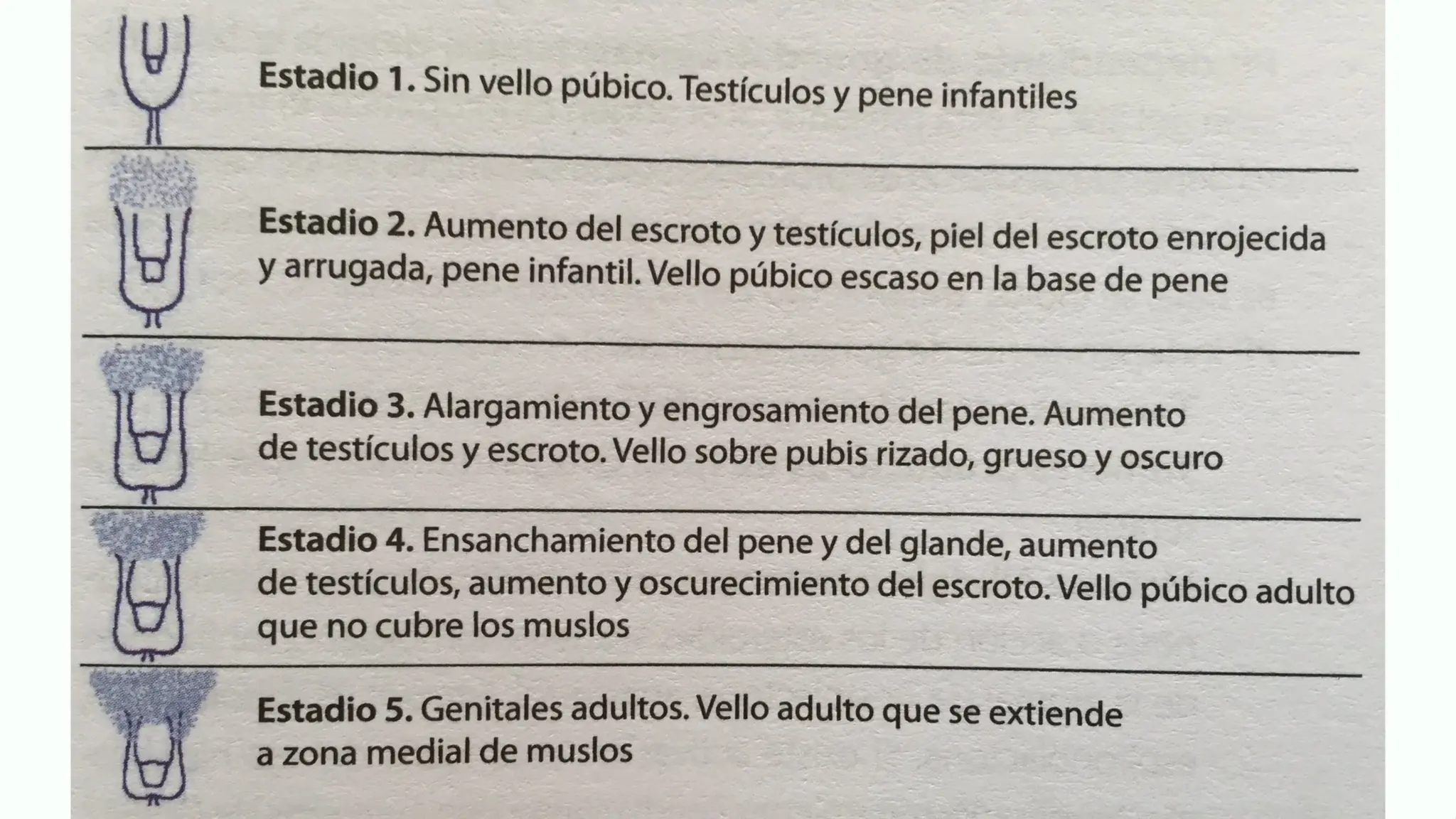 Desarrollo-Puberal-Normal-y-Pubertad-Precoz.pptx