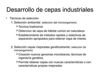 Desarrollo de cepas para uso industrial.ppt
