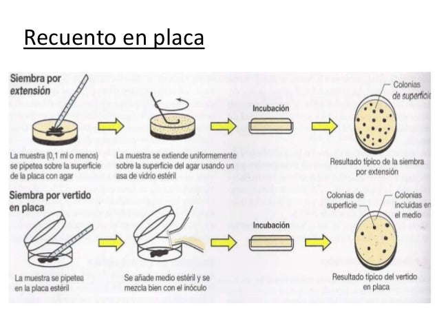 Desarrollo de inóculo