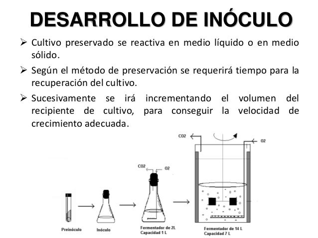 Desarrollo de inóculo