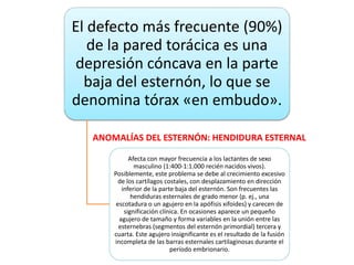 DESARROLLO EMBRIOLÓGICO DE LA COLUMNA VERTEBRAL SANTIAGO ANDRADE | PPTX