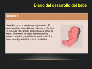 Desarrollo del embrion | PPTX