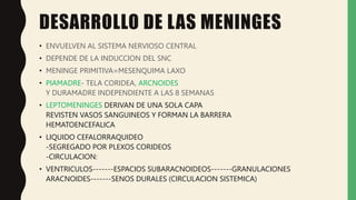 DESARROLLO DEL SISTEMA NERVIOSO - ENCEFALO.pptx