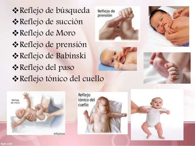 Desarrollo del lactante