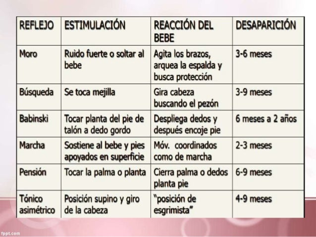 Desarrollo del lactante