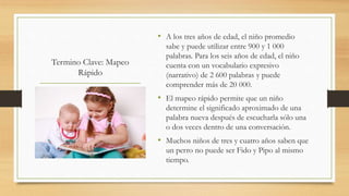 Desarrollo del lenguaje | PPTX