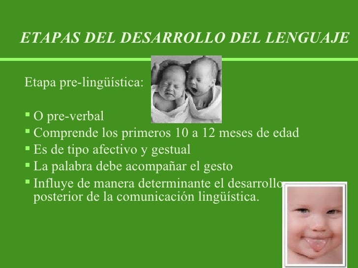 Fases Del Desarrollo Lingüístico – ZQSL
