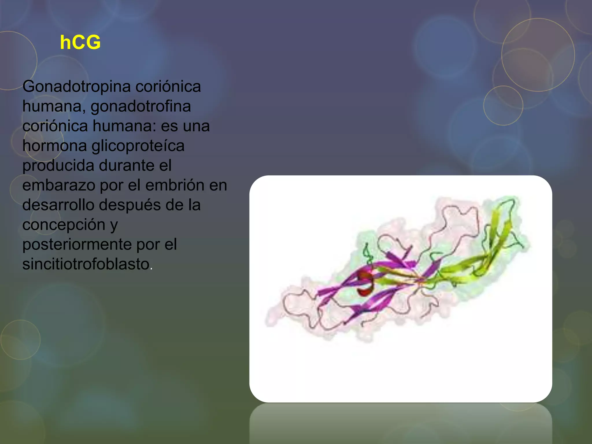 Desarrollo del saco corionico | PPTX