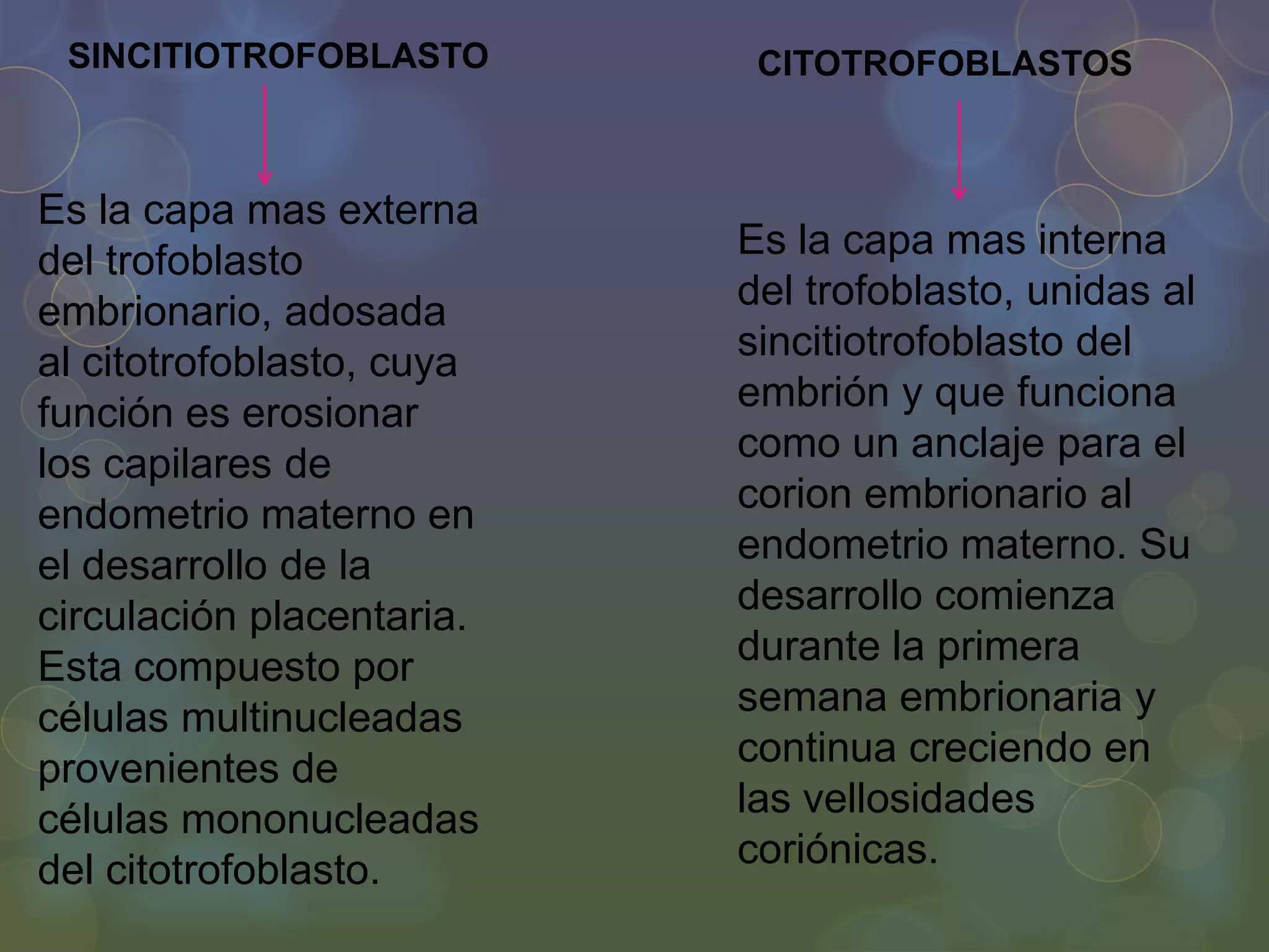 Desarrollo del saco corionico | PPTX