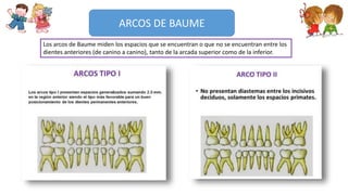 DESARROLLO DENTAL.pptx