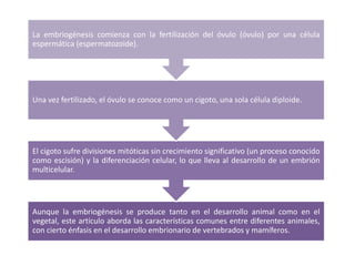 Desarrollo embionario | PPTX