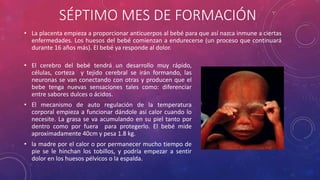 Desarrollo embrionario | PPTX