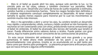 Desarrollo Embrionario | PPTX