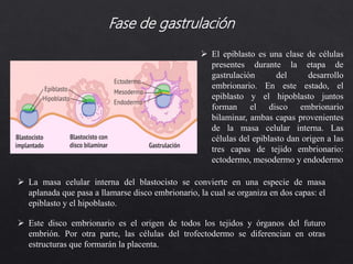 Desarrollo embrionario. | PPTX