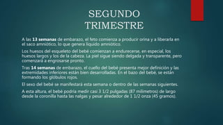 Desarrollo Embrionario | PPTX