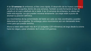 Desarrollo Embrionario | PPTX