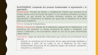 Desarrollo embrionario | PPTX