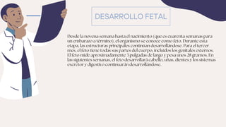 DESARROLLO EMBRIONARIO.pdf