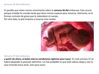 Desarrollo embrionario fetal | PPTX