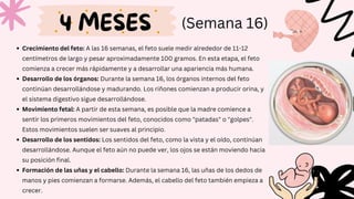 DESARROLLO EMBRIONARIO ...........(2).pdf