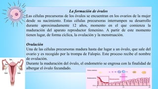 Desarrollo embrionario animal | PPTX