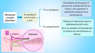 Desarrollo embrionario animal | PPTX