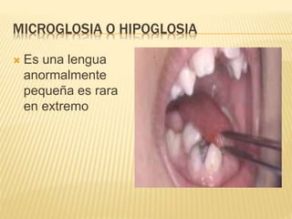 Medicina | PPTX