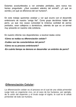 Desarrollo embrionario del perro | DOCX