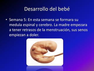 Desarrollo embrionario | PPTX