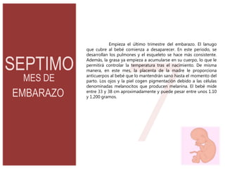 Desarrollo Embrionario | PPTX