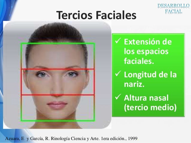 Desarrollo Facial