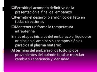 Desarrollo fetal | PPTX