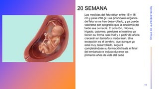 DESARROLLO FETAL | PPTX