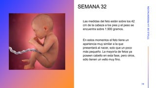 DESARROLLO FETAL | PPTX