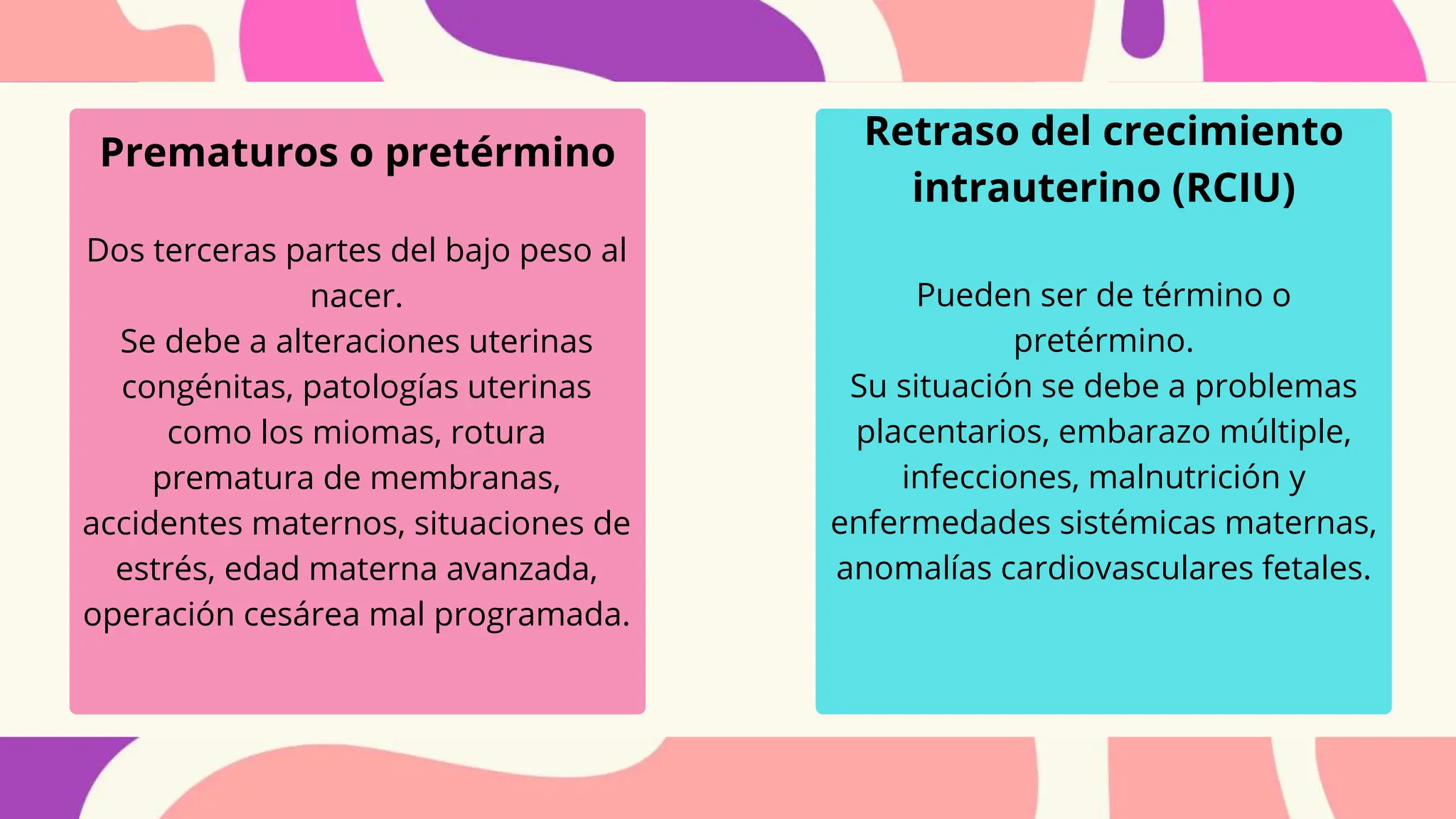 DESARROLLO FETAL basado en el libro de embriología de arteaga | PPTX ...