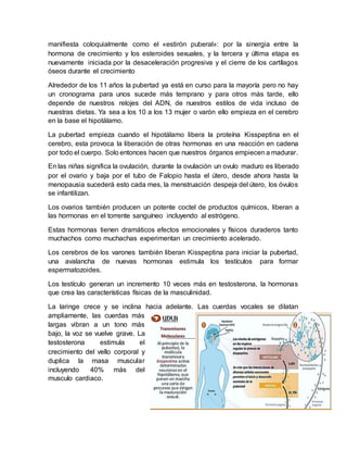 El Desarrollo Fisico Y Sexual En La Adolescencia Top Sellers | innoem.eng.psu.ac.th