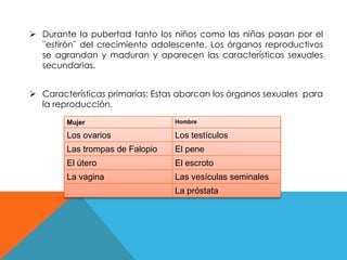 Desarrollo físico en la adolescencia | PPTX