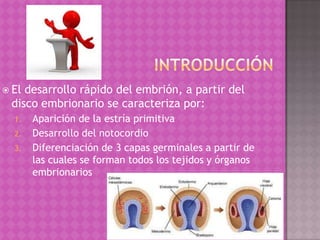 Desarrollo humano 3era semana | PPTX