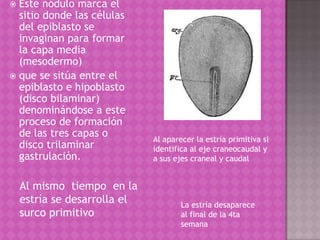 Desarrollo humano 3era semana | PPTX