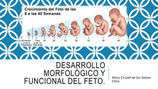 Desarrollo morfológico y funcional del feto | PPTX